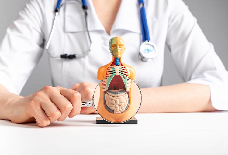 Dermaveel Pro | Dermaveel Pro cuida de tu piel